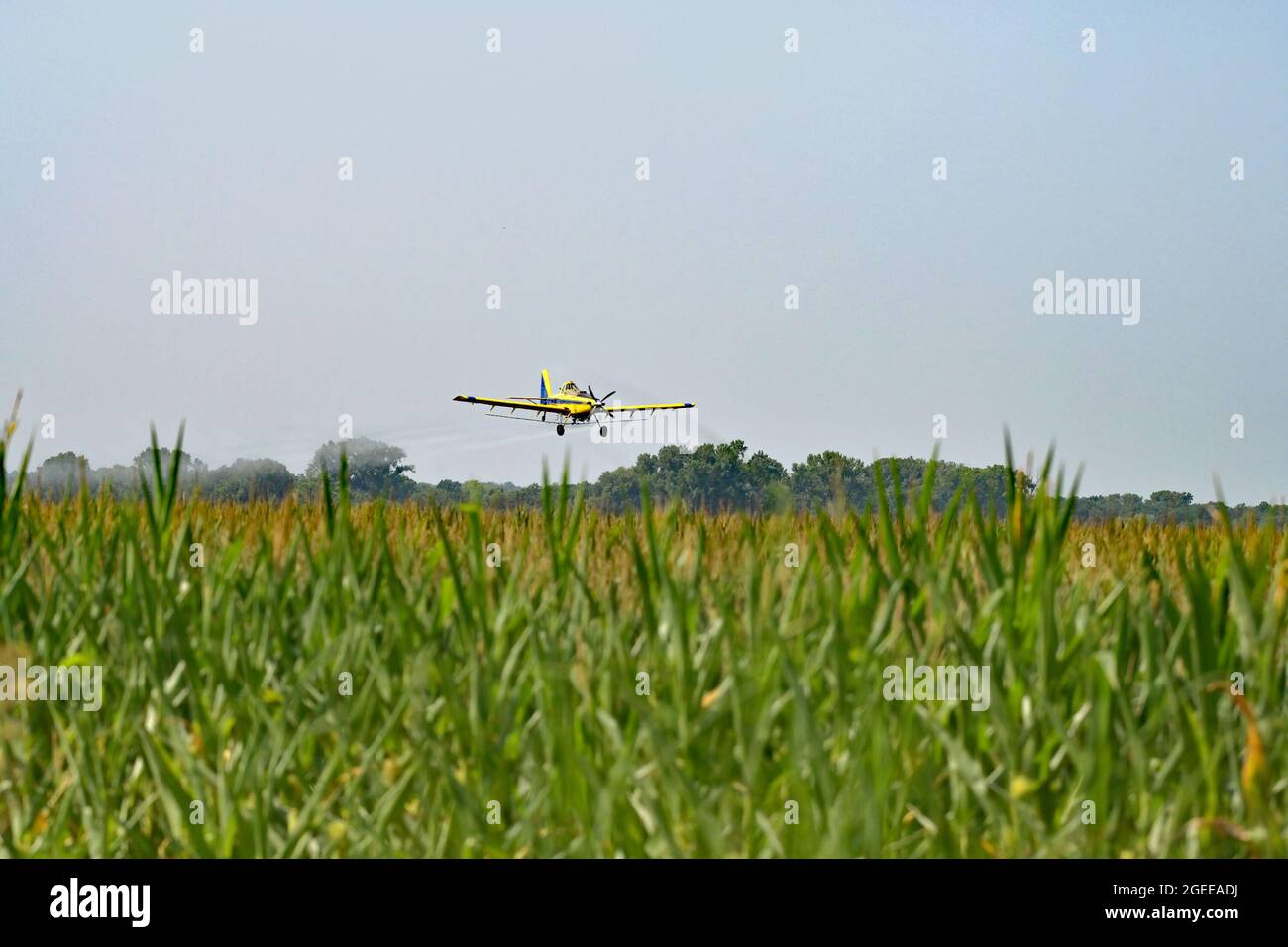 Air Tractor 502XP crop dusting airplane spraying some of the 500 ...