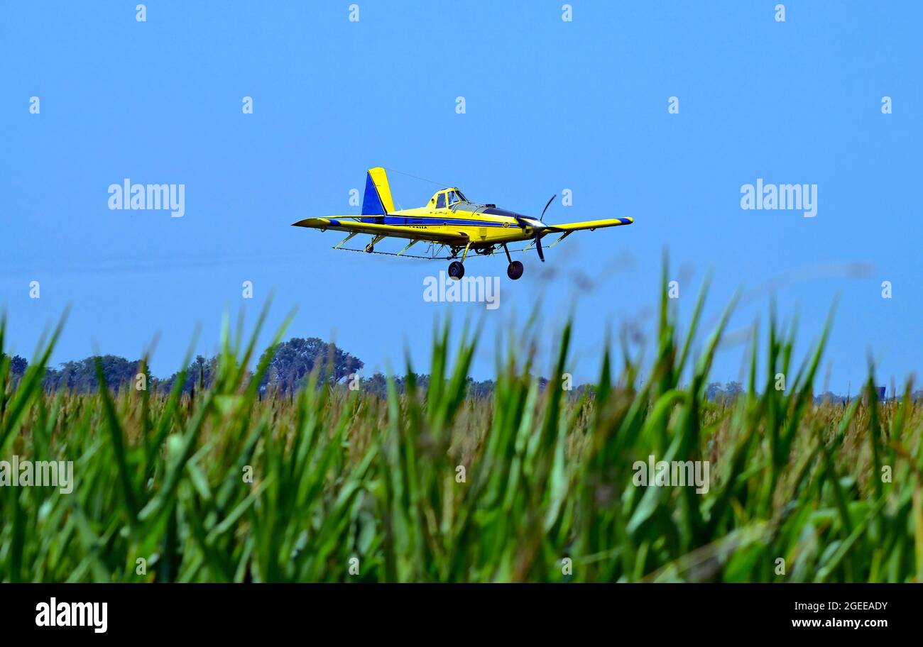 Air Tractor 502XP crop dusting airplane spraying some of the 500 ...