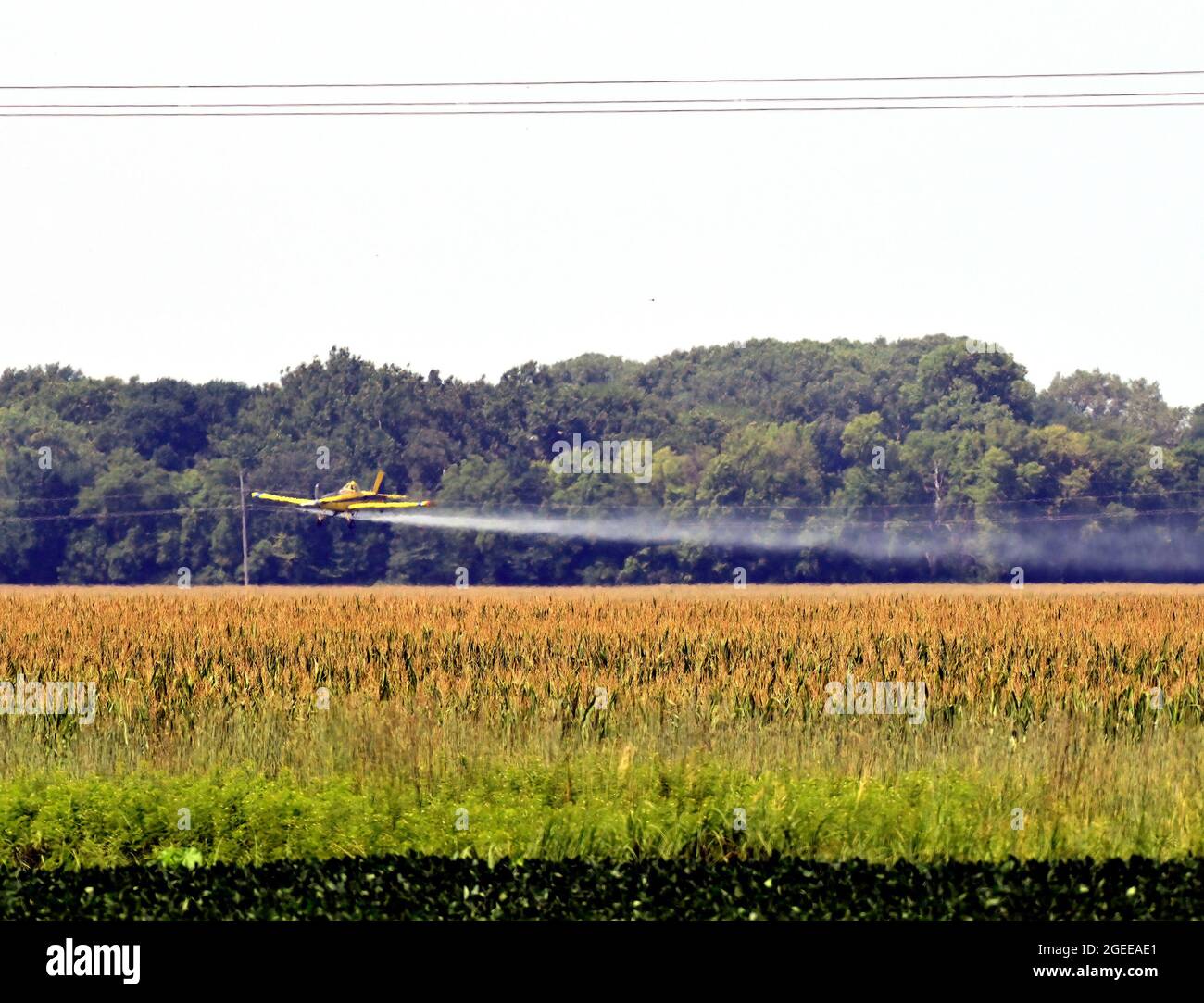 Air Tractor 502XP crop dusting airplane spraying some of the 500 ...