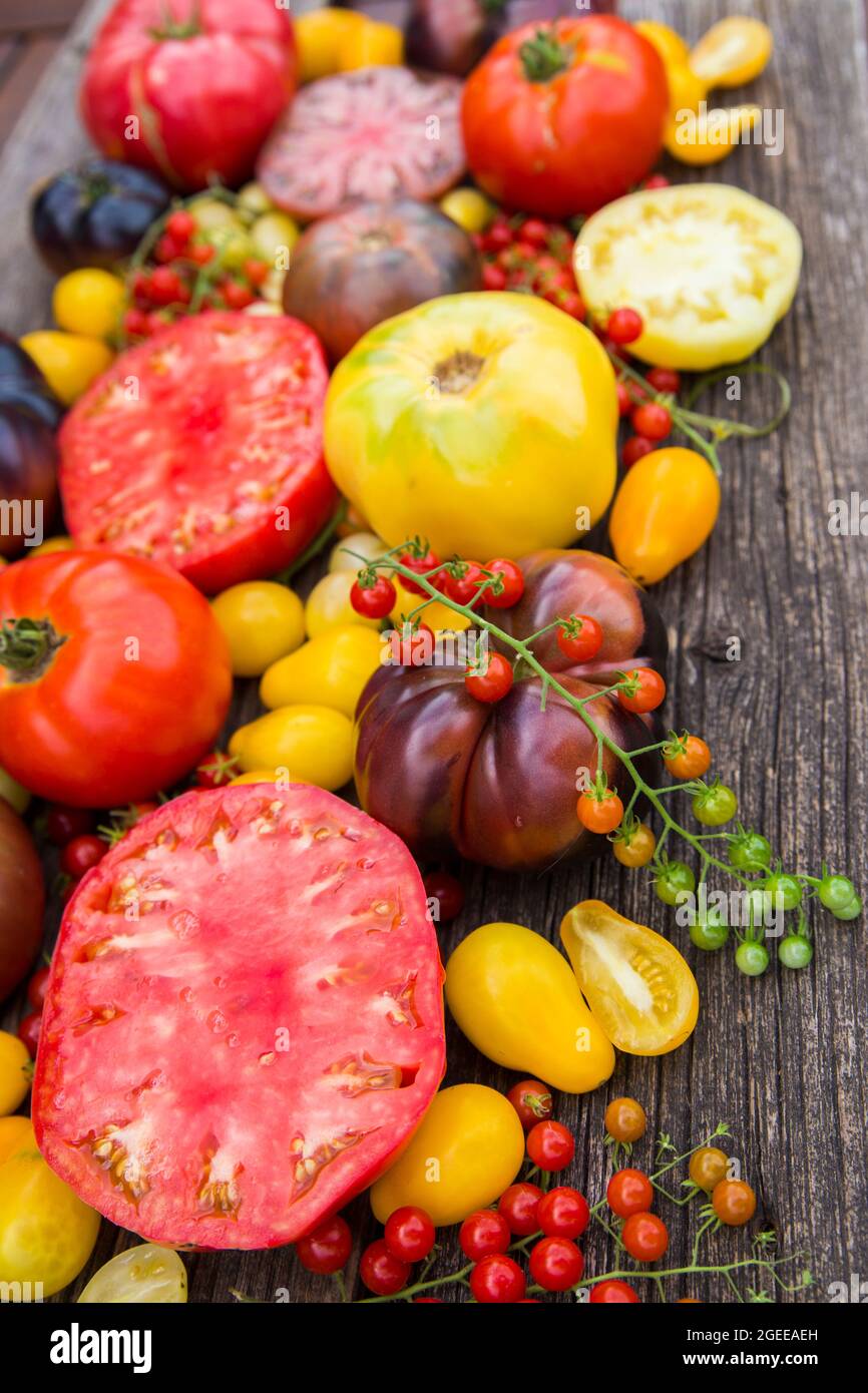 Heirloom tomatoes full of colors and taste Stock Photo - Alamy
