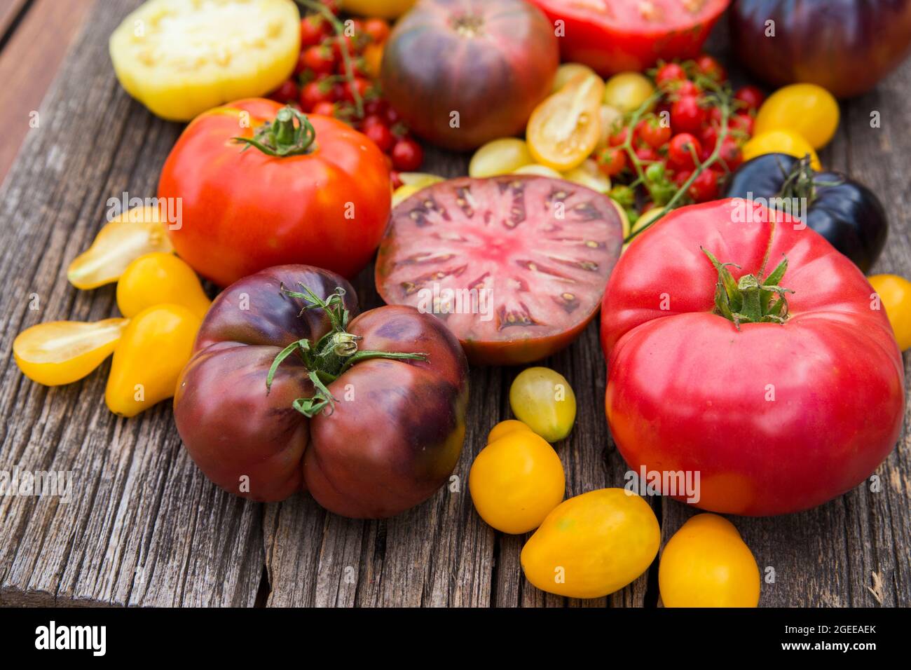 Heirloom tomatoes full of colors and taste Stock Photo - Alamy