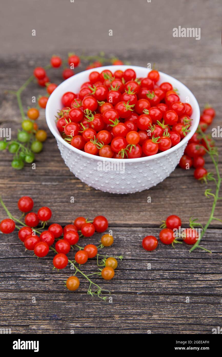 Heirloom tomatoes full of colors and taste Stock Photo - Alamy