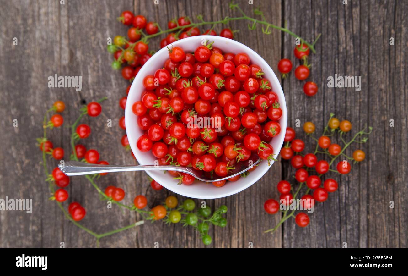 Heirloom tomatoes full of colors and taste Stock Photo - Alamy