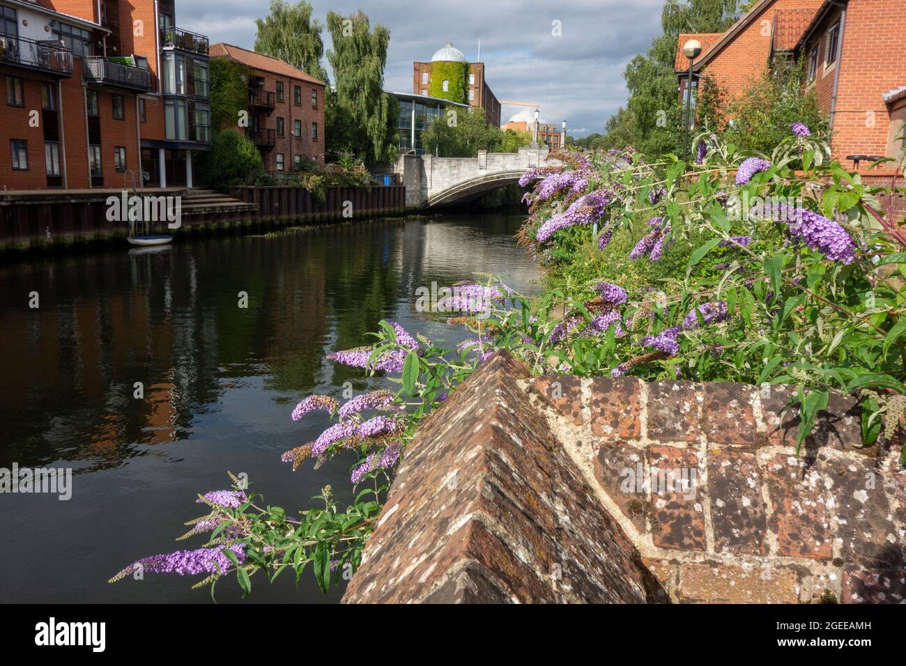 River Wensum Norwich Stock Photo - Alamy