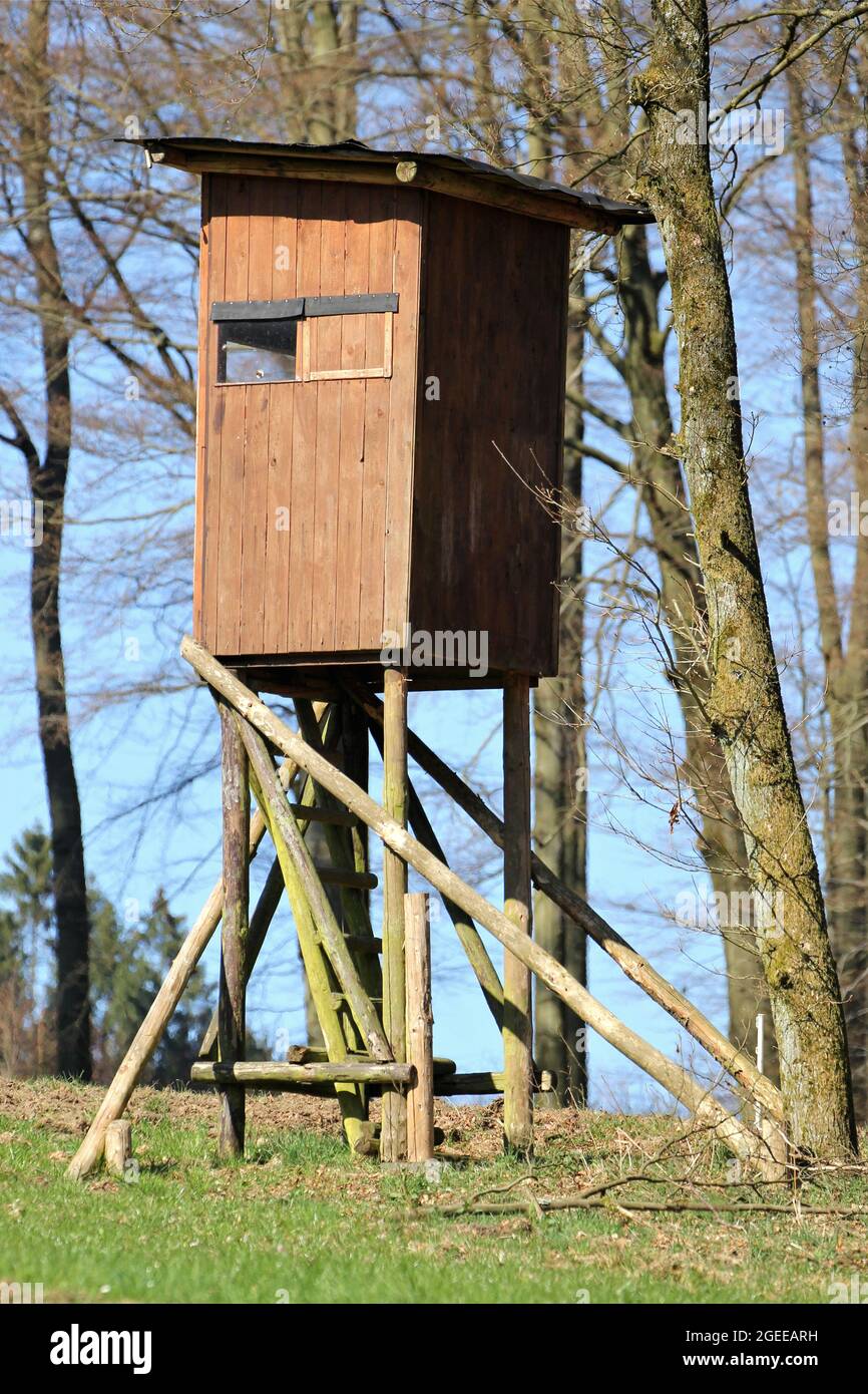 deerstand at forest edge Stock Photo - Alamy