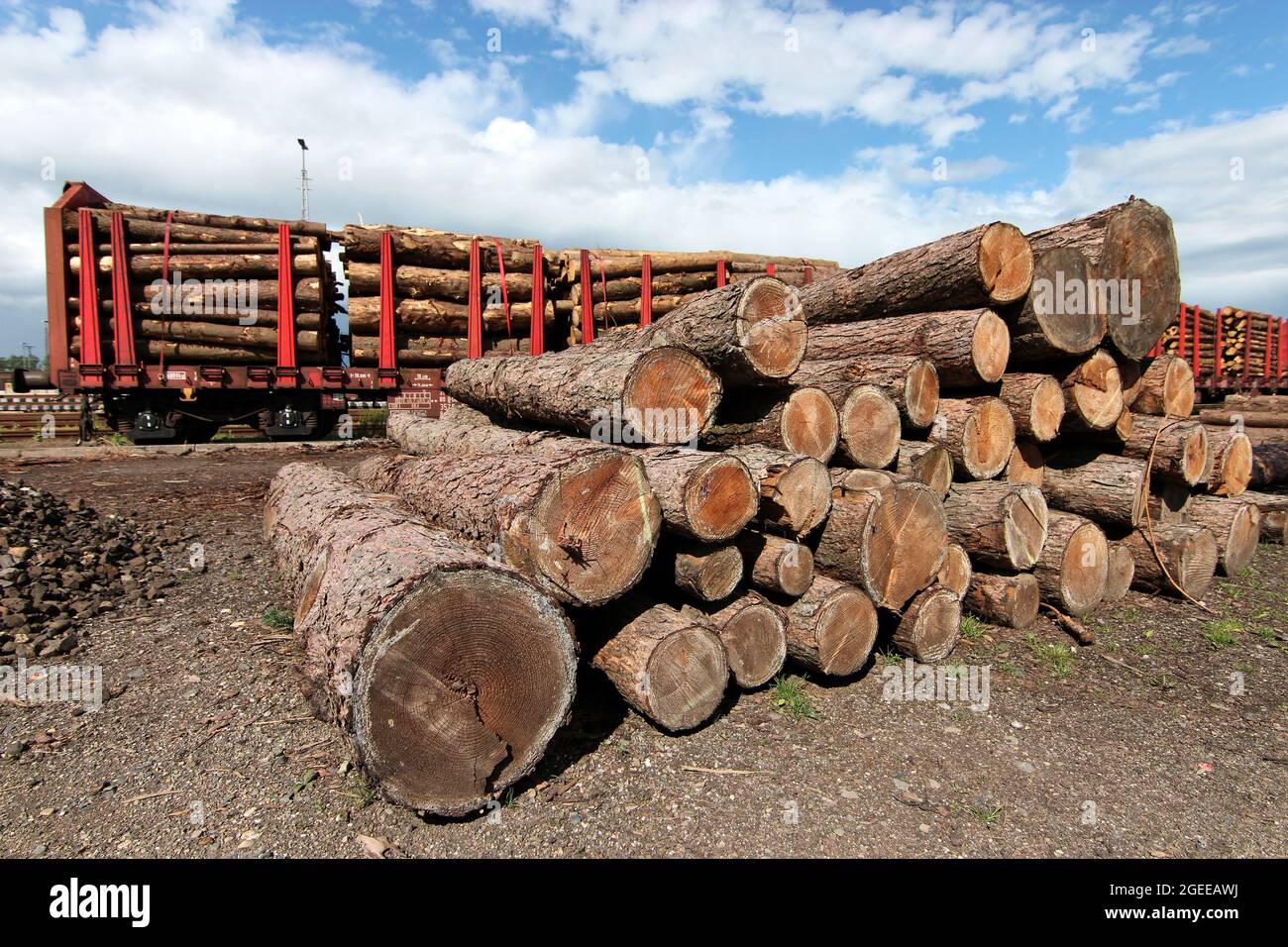 logs at railway before transport Stock Photo - Alamy