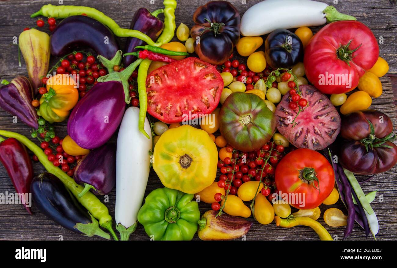 Heirloom vegetable full of colors and taste Stock Photo - Alamy