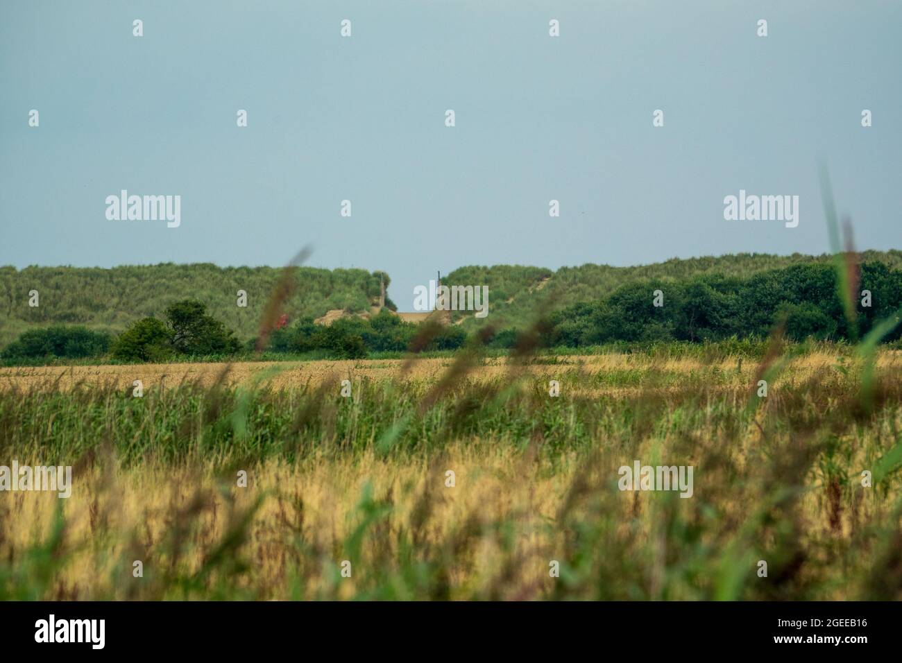 Gap in sea wall and dunes, Horsey Gap Stock Photo - Alamy