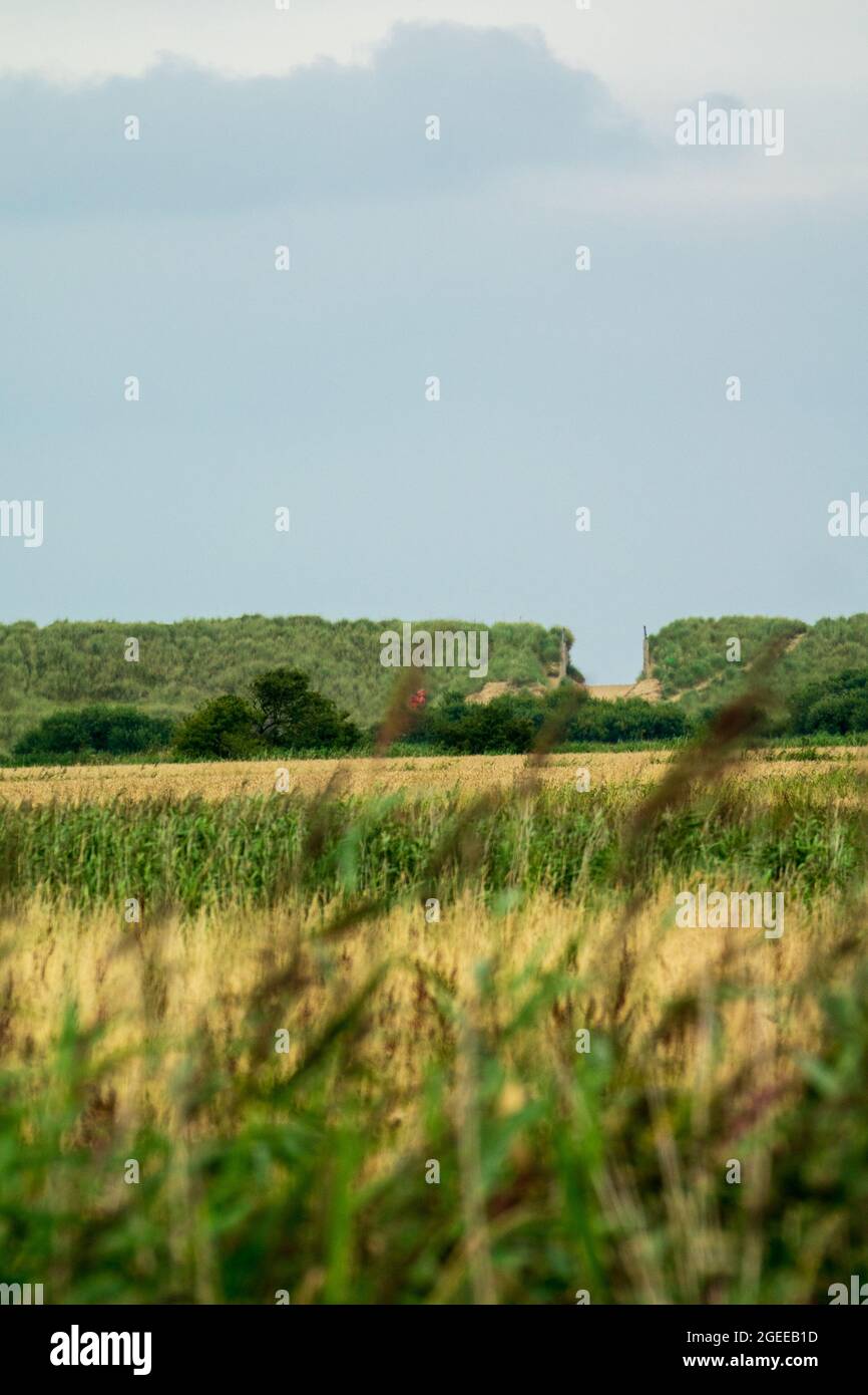 Gap in sea wall and dunes, Horsey Gap Stock Photo - Alamy