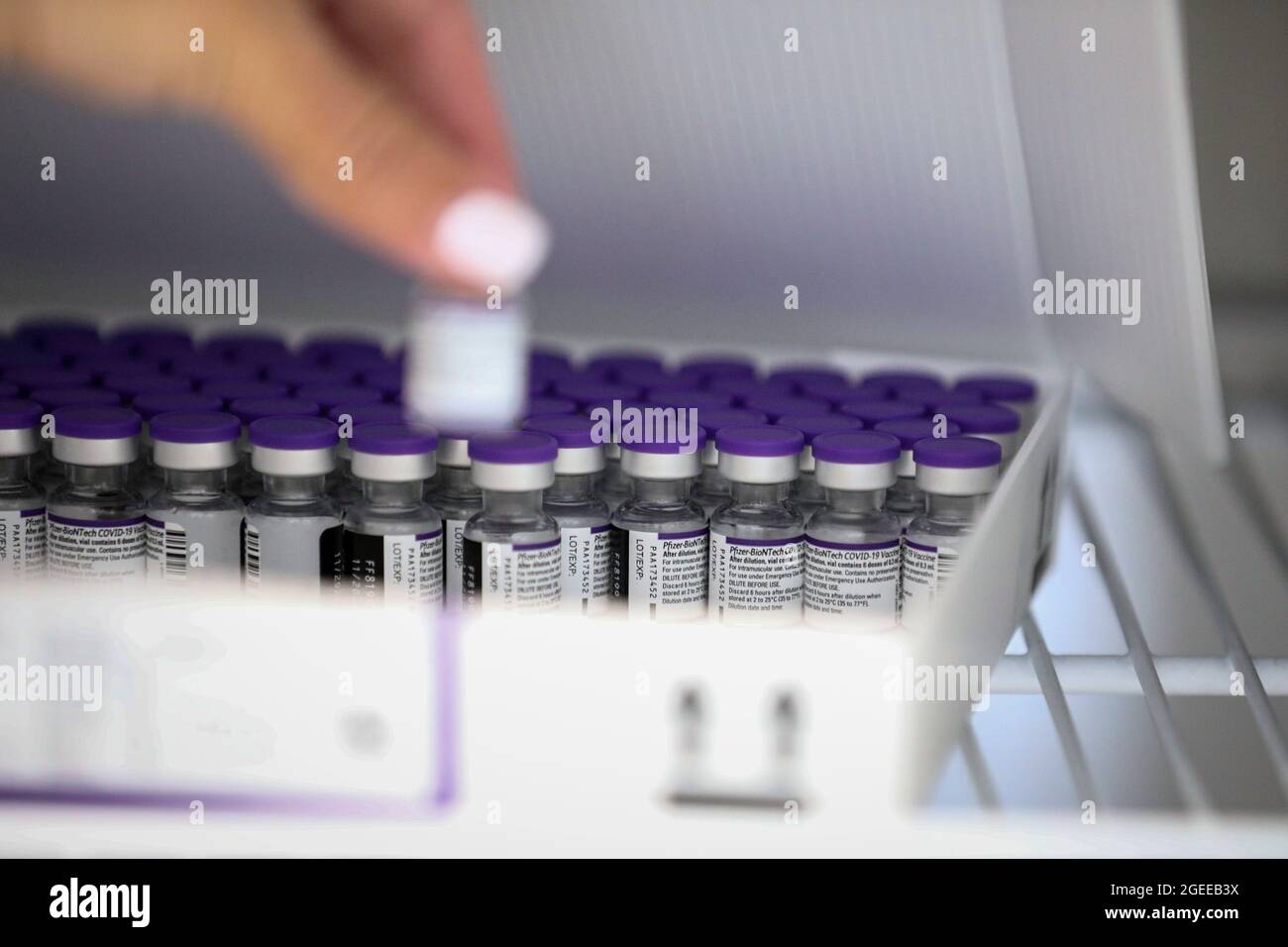 Biontech vaccine vials seen inside their box during the vaccination ...