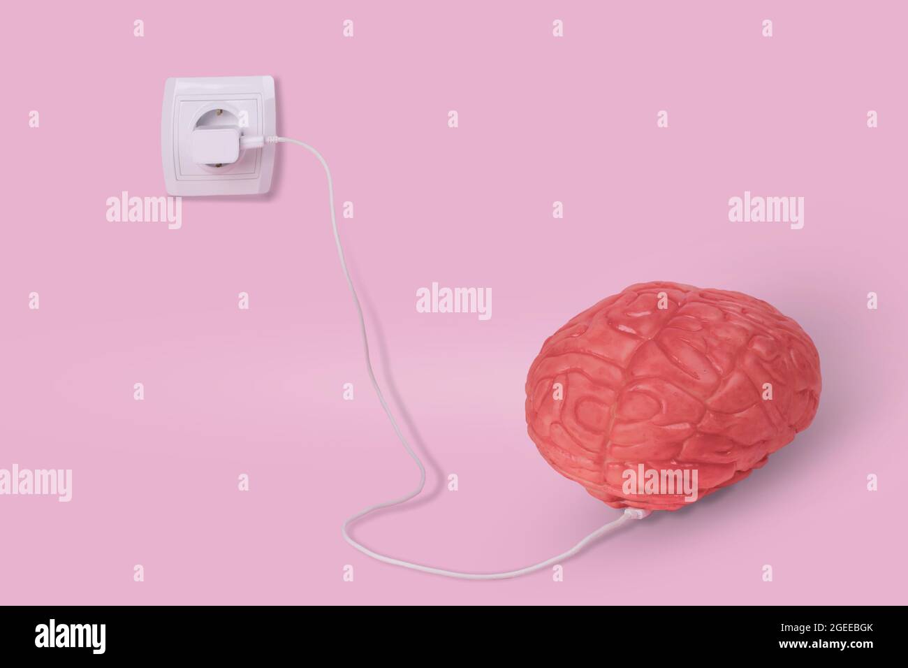 Creative idea made from the human brain and power charger. Charging for ...