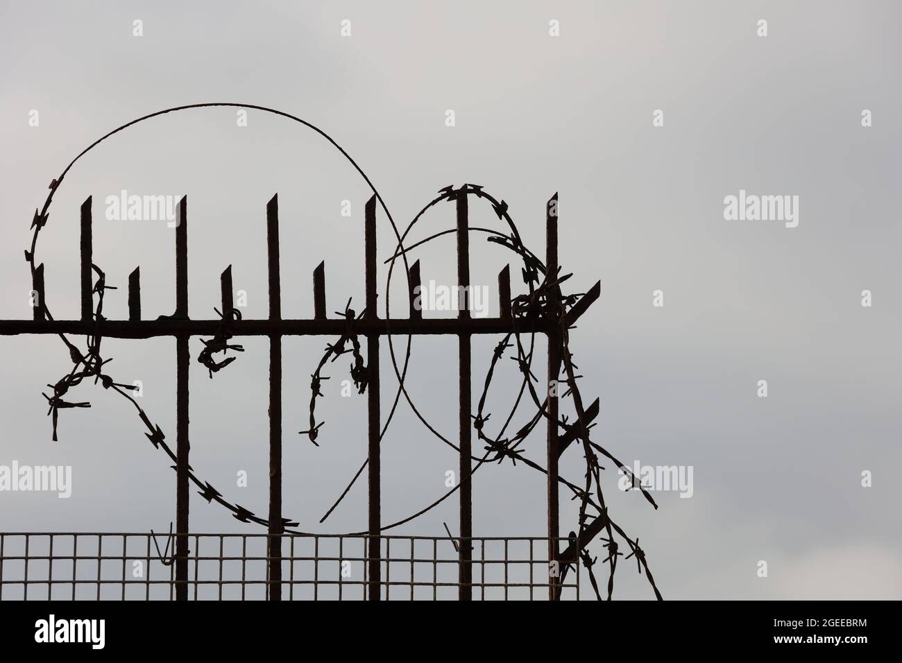 Barbed wire against grey background Stock Photo - Alamy