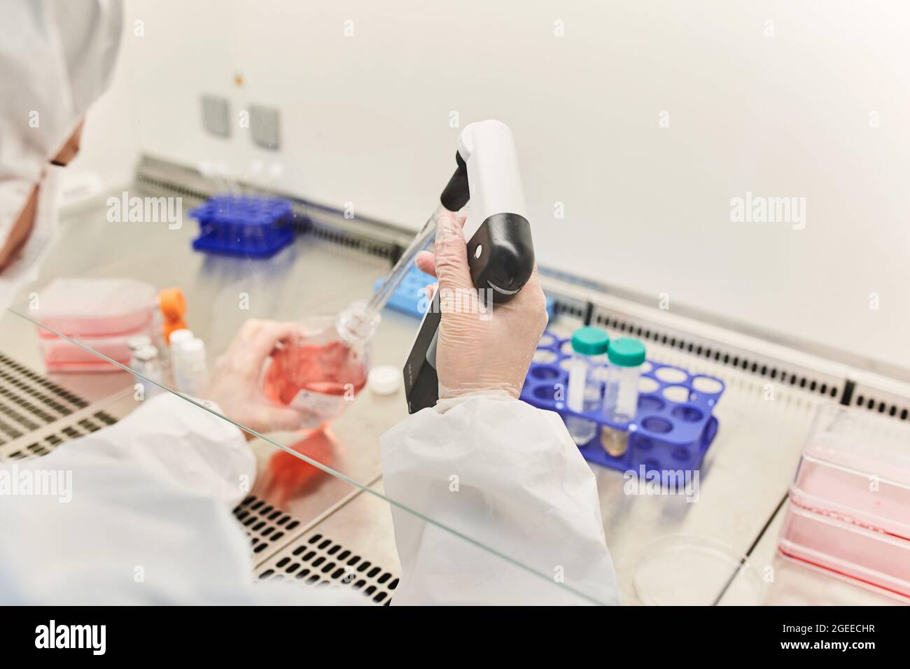 Platelets microscope hi-res stock photography and images - Alamy