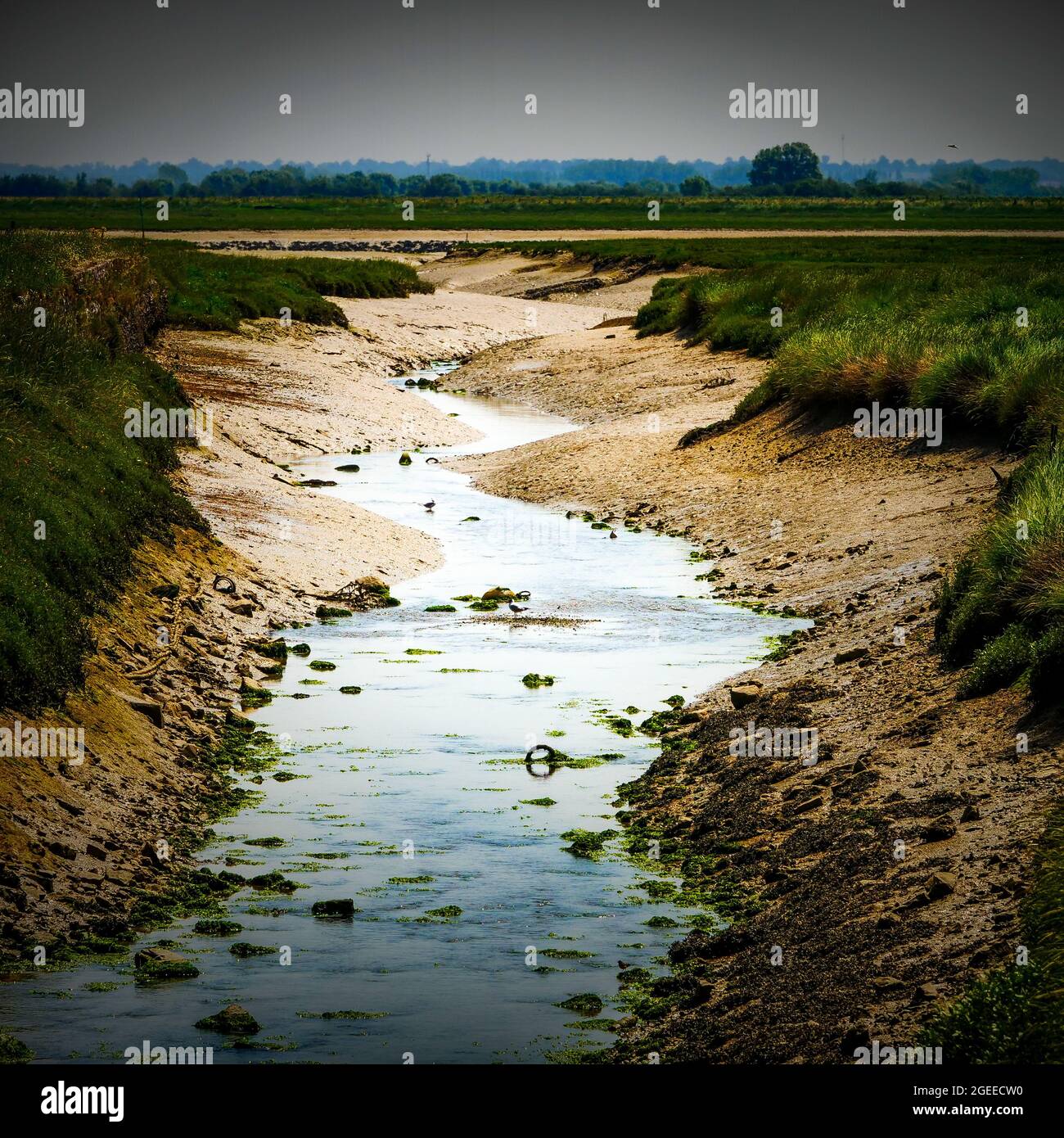 The Swamp at low tide, digitally filtered view, Le Grand Vey, Manche ...