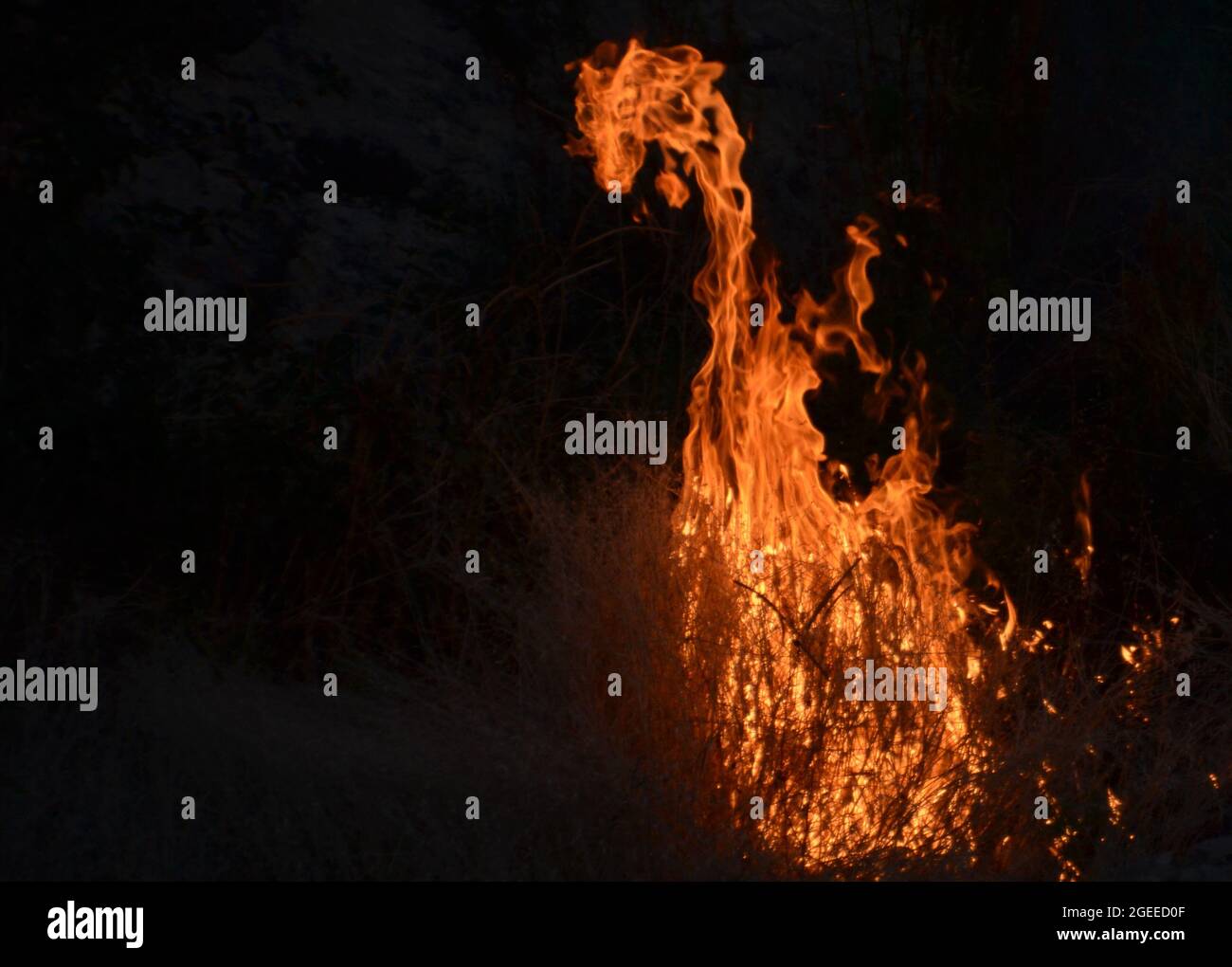 fire looks like a dragon Stock Photo - Alamy