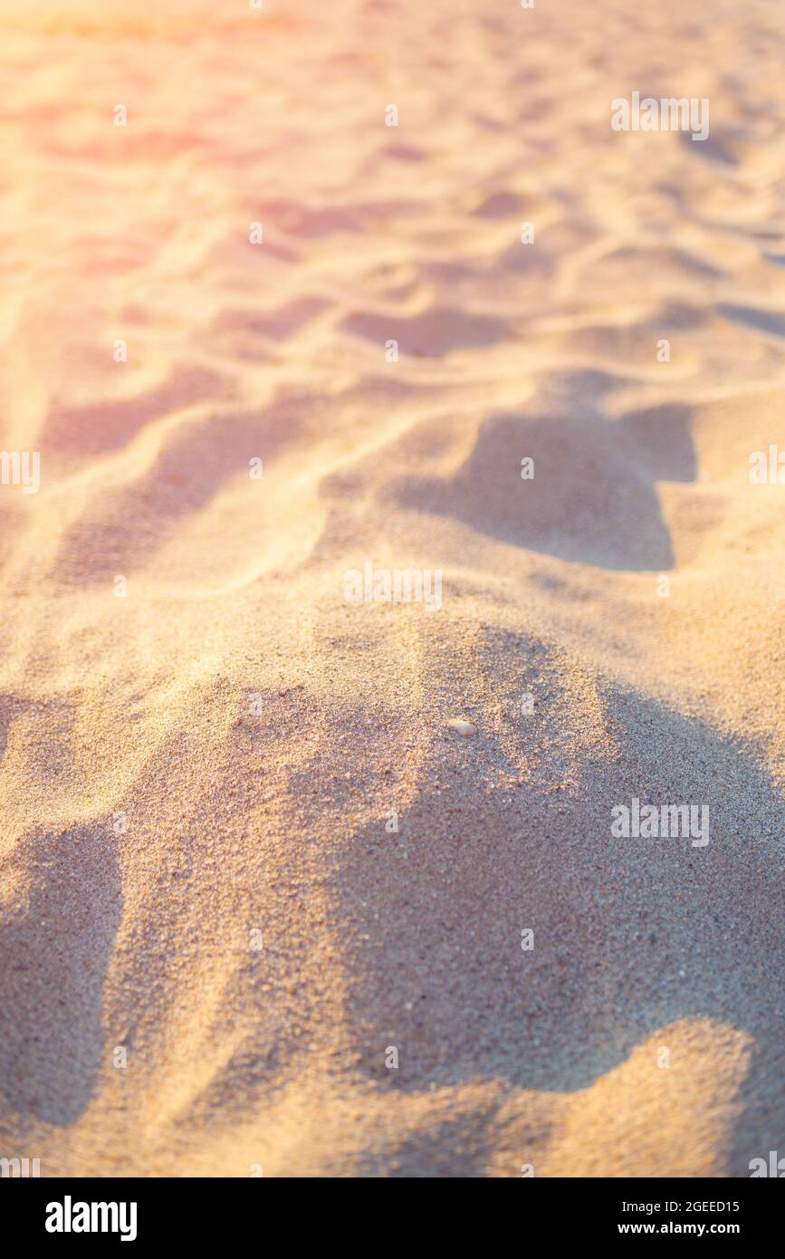 Fine sand on a beach vertical background, summer vacation background ...