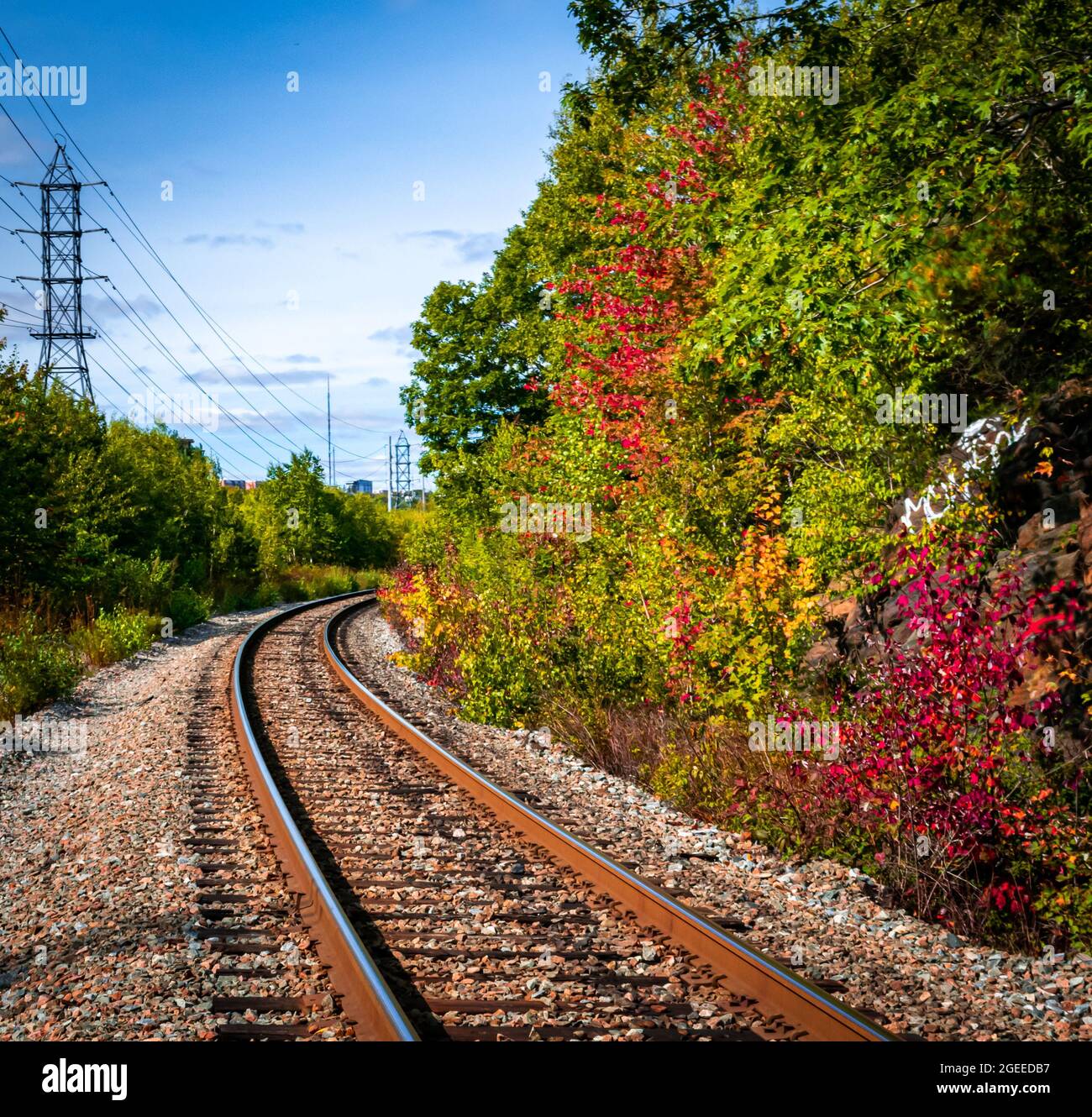 rusted railway tracks lines up along fall coloured trees in autumn ...