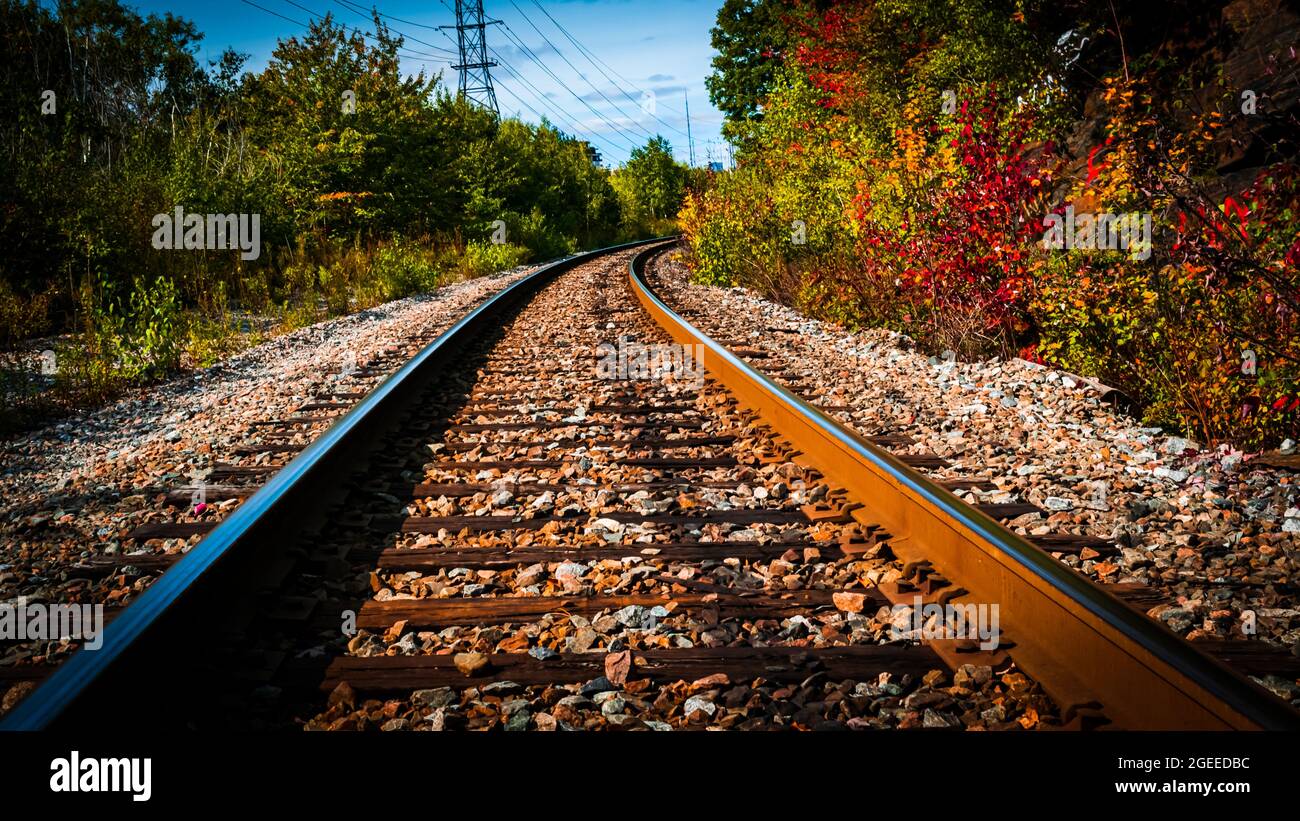 rusted railway tracks lines up along fall coloured trees in autumn ...