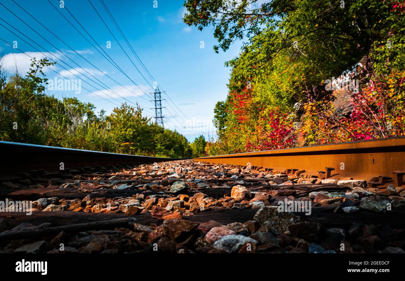 rusted railway tracks lines up along fall coloured trees in autumn ...