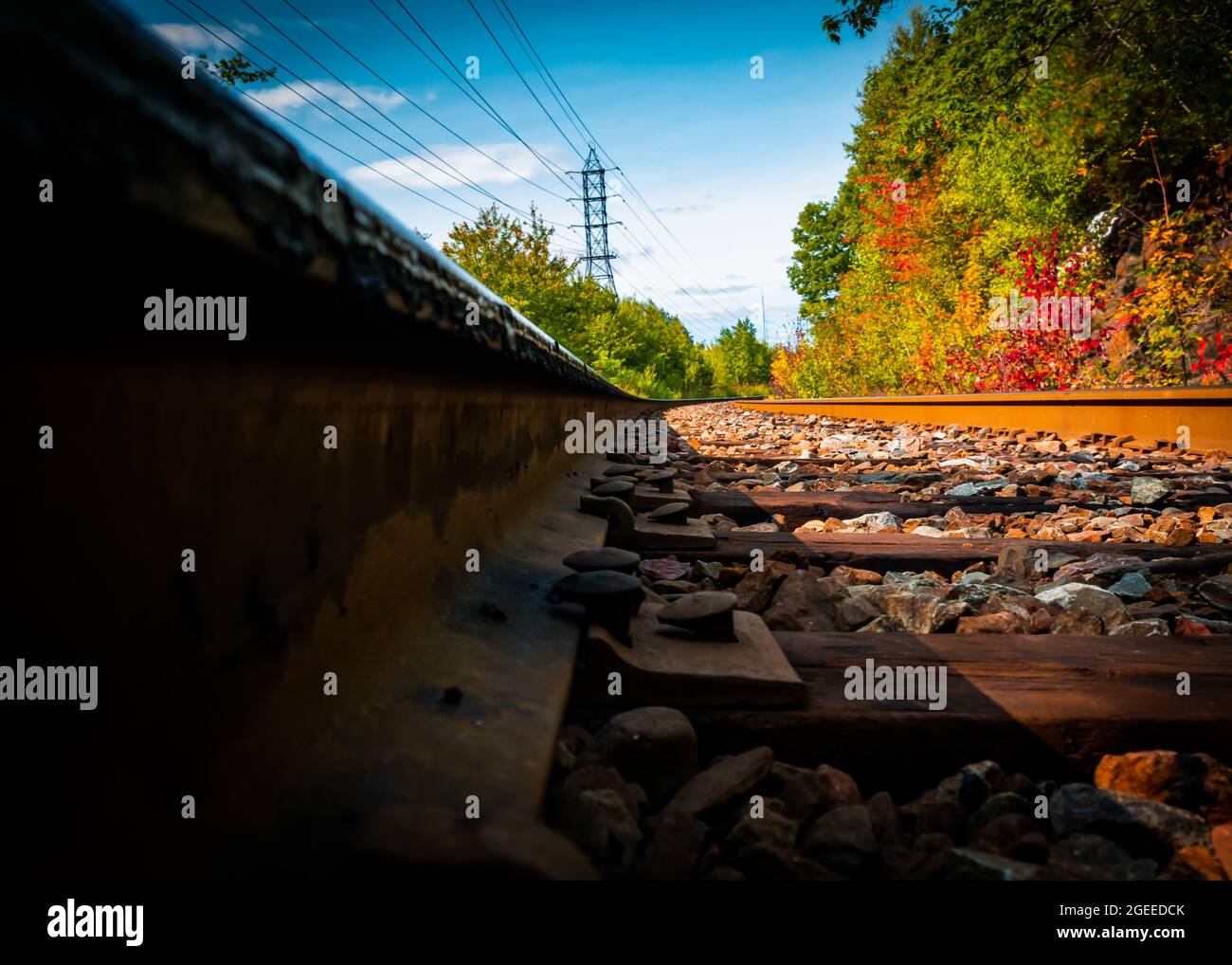 rusted railway tracks lines up along fall coloured trees in autumn ...