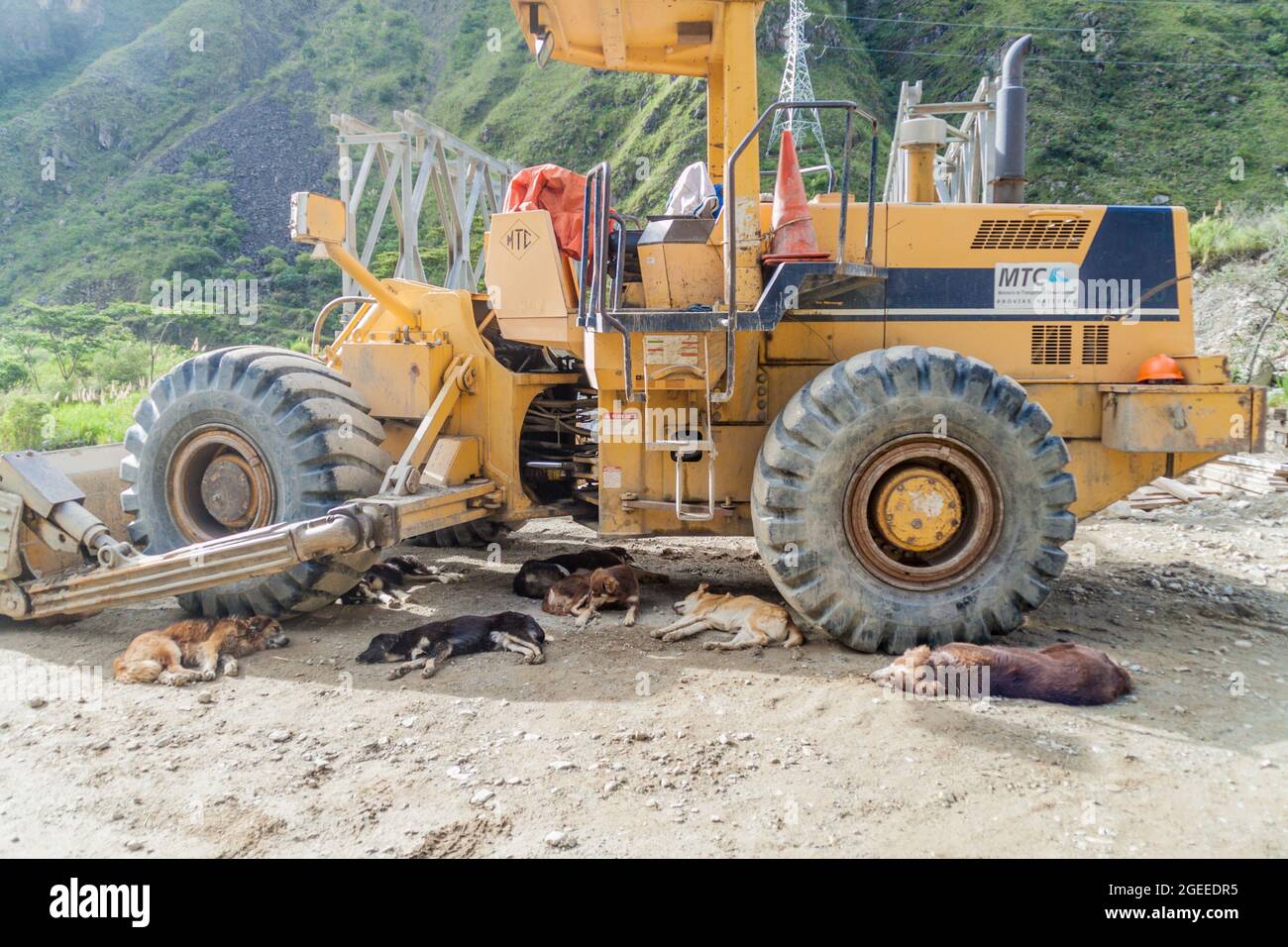 HIDROELECTRICA, PERU - MAY 17, 2015: Bulldozer with sleeping stray dogs ...