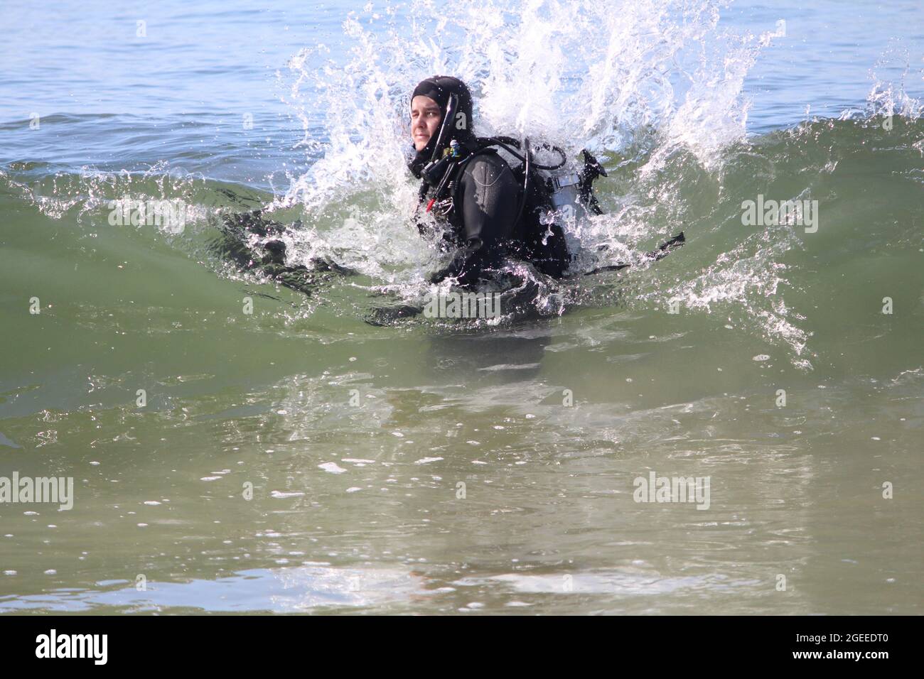 Diving California Style Stock Photo - Alamy