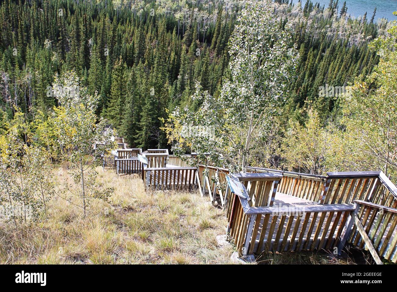 Long stairs many steps hi-res stock photography and images - Alamy