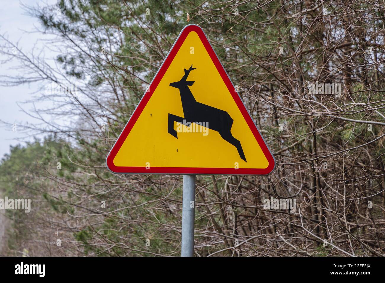 Deer crossing warning sign hi-res stock photography and images - Alamy