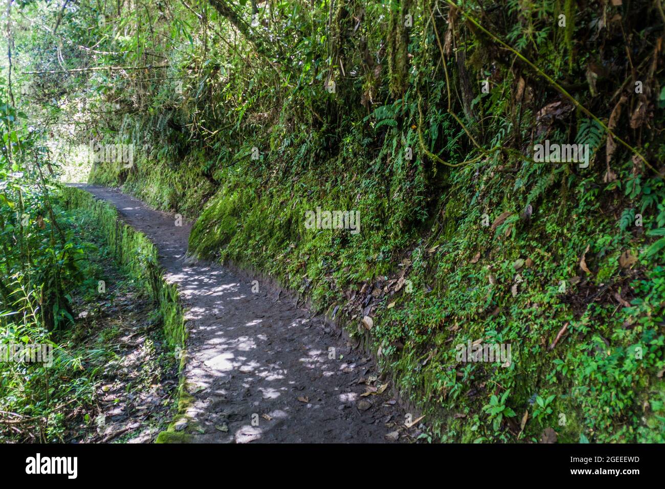 Narrow Inca trail near Machu Picchu ruins, Peru Stock Photo - Alamy