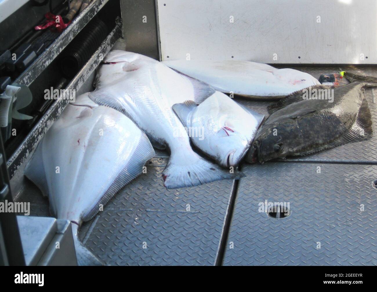 Cleaning a fishing boat hi-res stock photography and images - Alamy