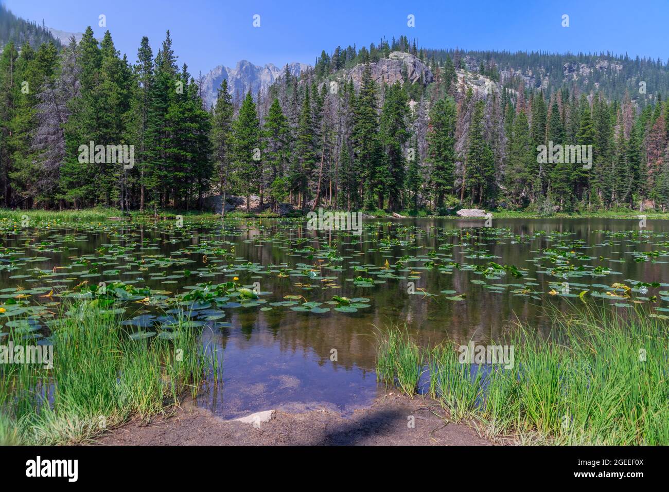 Nymph lake scenery hi-res stock photography and images - Alamy