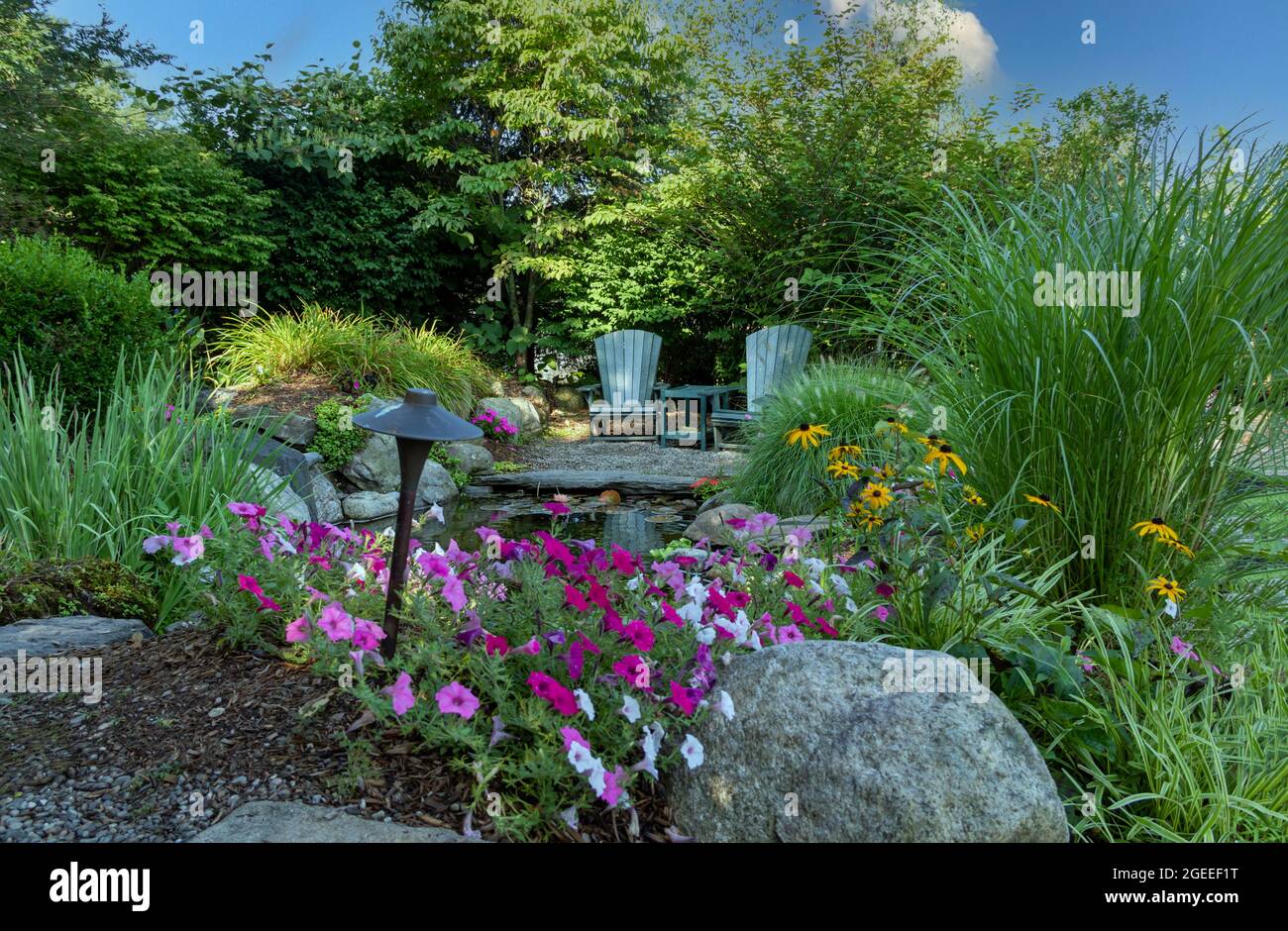 Landscape architecture with pink flowers and ornamental grasses for ...