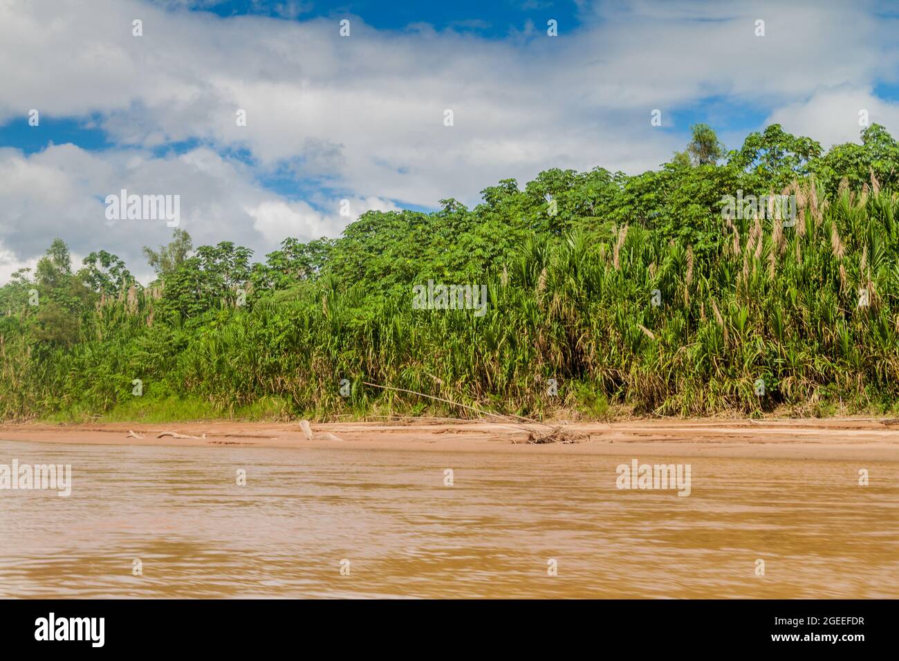 Beni river in National Park Madidi, Bolivia Stock Photo - Alamy