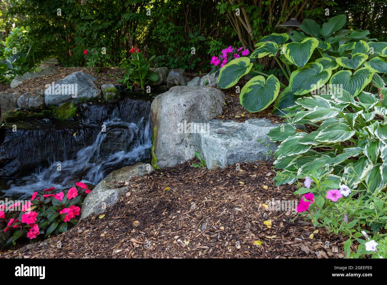 Landscape architecture with pink flowers and ornamental grasses for ...