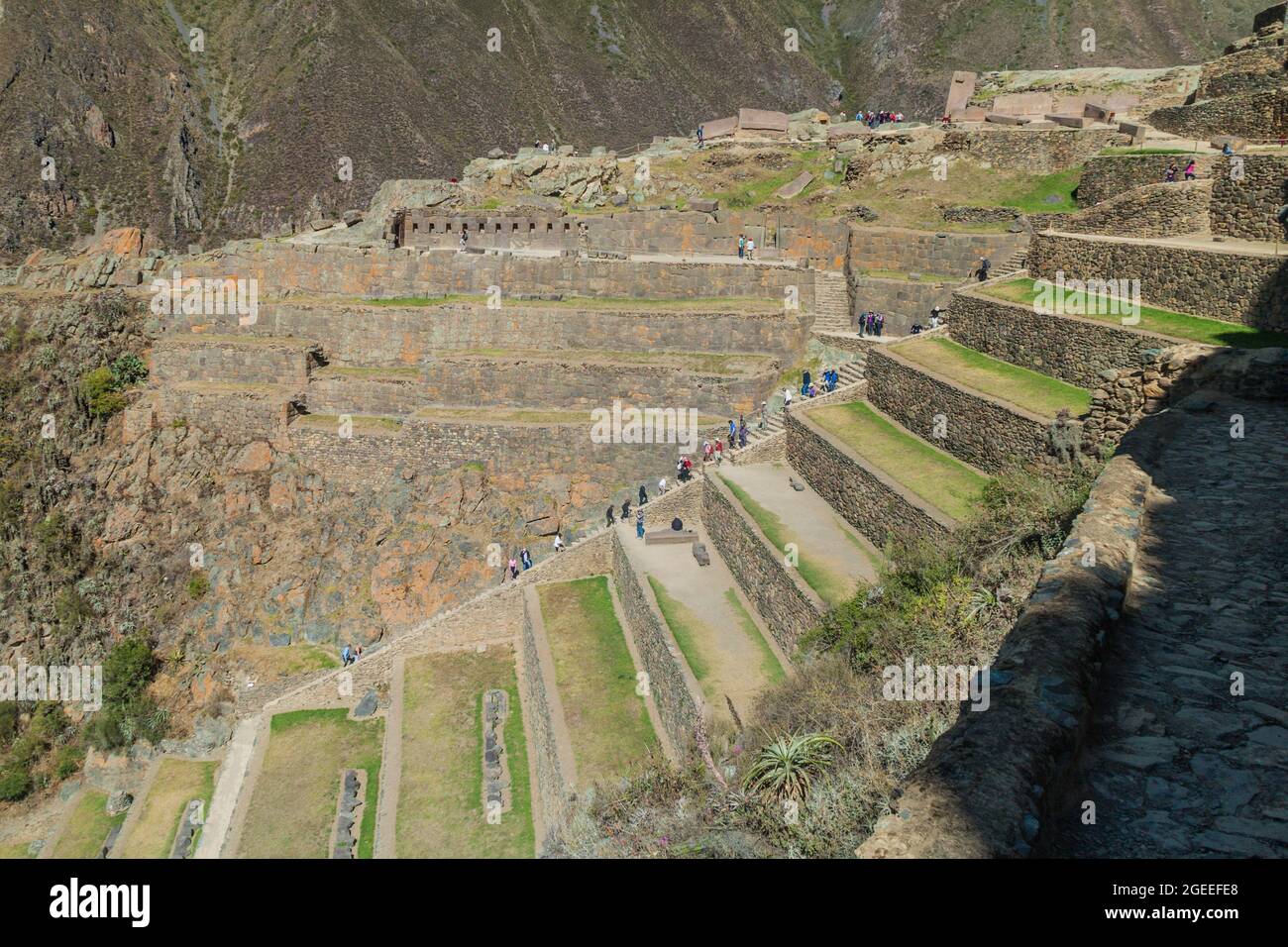 Agricultural terraces of Inca ruins of Ollantaytambo, Sacred Valley of ...