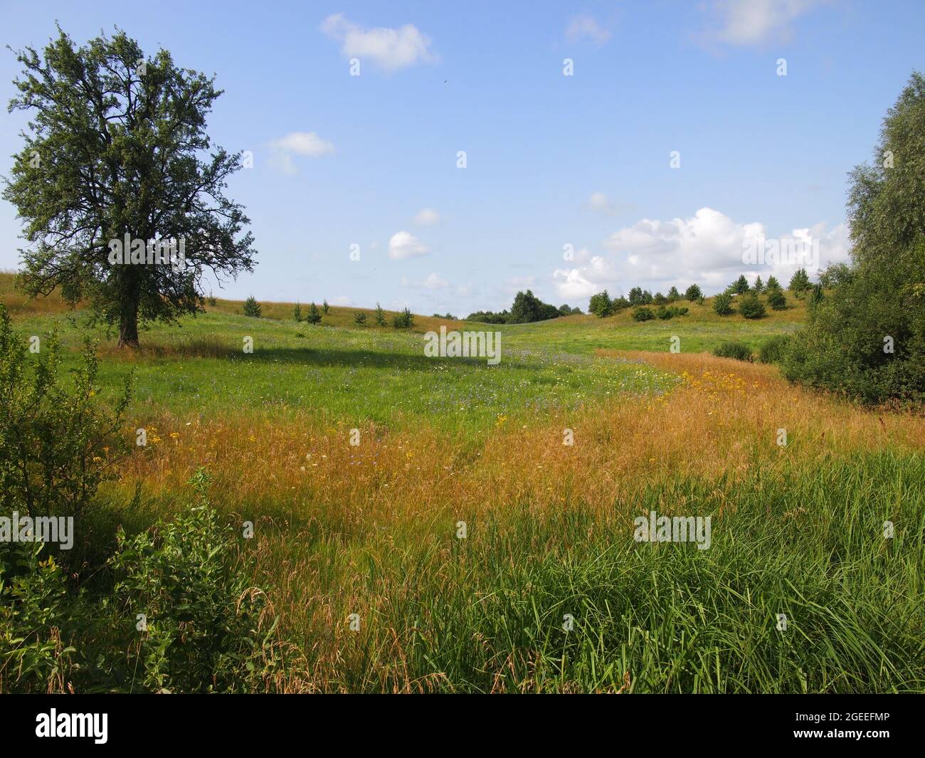 Meteliai Regional Park (Alytus County, Lithuania Stock Photo - Alamy