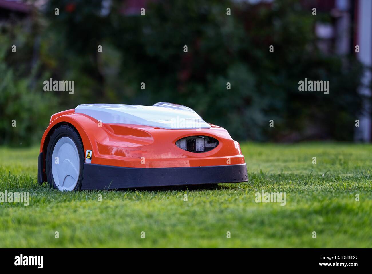 Automatic lawn robot mower moves on the short cut grass, lawn. Close up ...