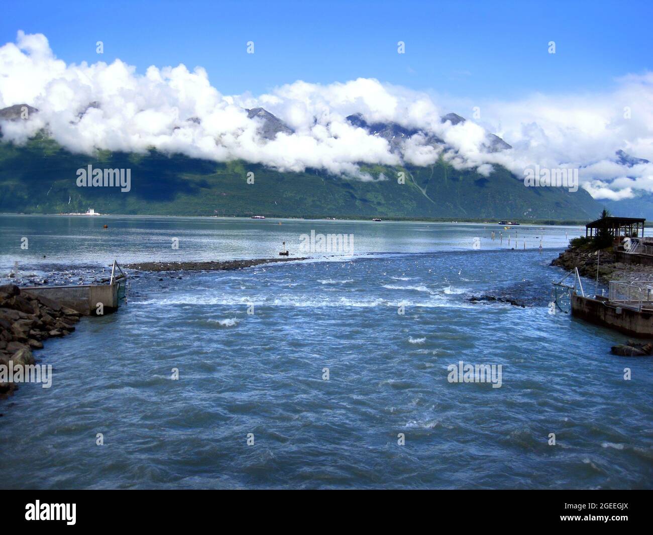 Chugach Mountains surround the Solomon Gulch Fish Hatchery in Valdez ... Chugach Mountains surround the Solomon Gulch Fish Hatchery in Valdez ...