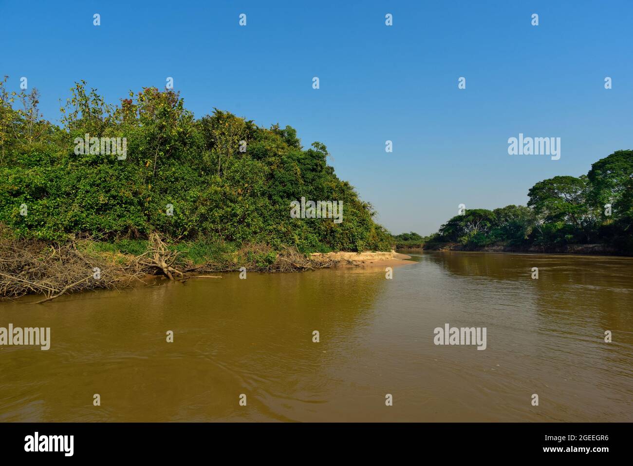 Cuiabá river landscape, Pantanal Forest , Mato grosso, Brazil Stock ...