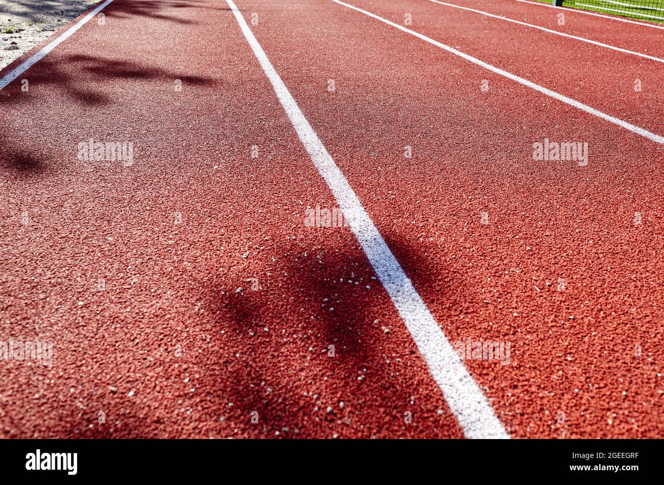 Red treadmill on sport field. Running track on the stadium Stock Photo ...