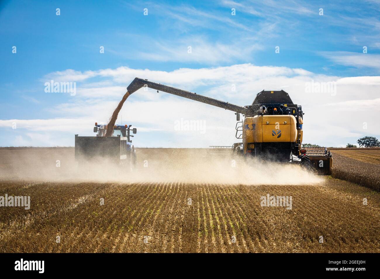 Combine harvester operating in field near Cupar, Fife, Scotland, UK ...