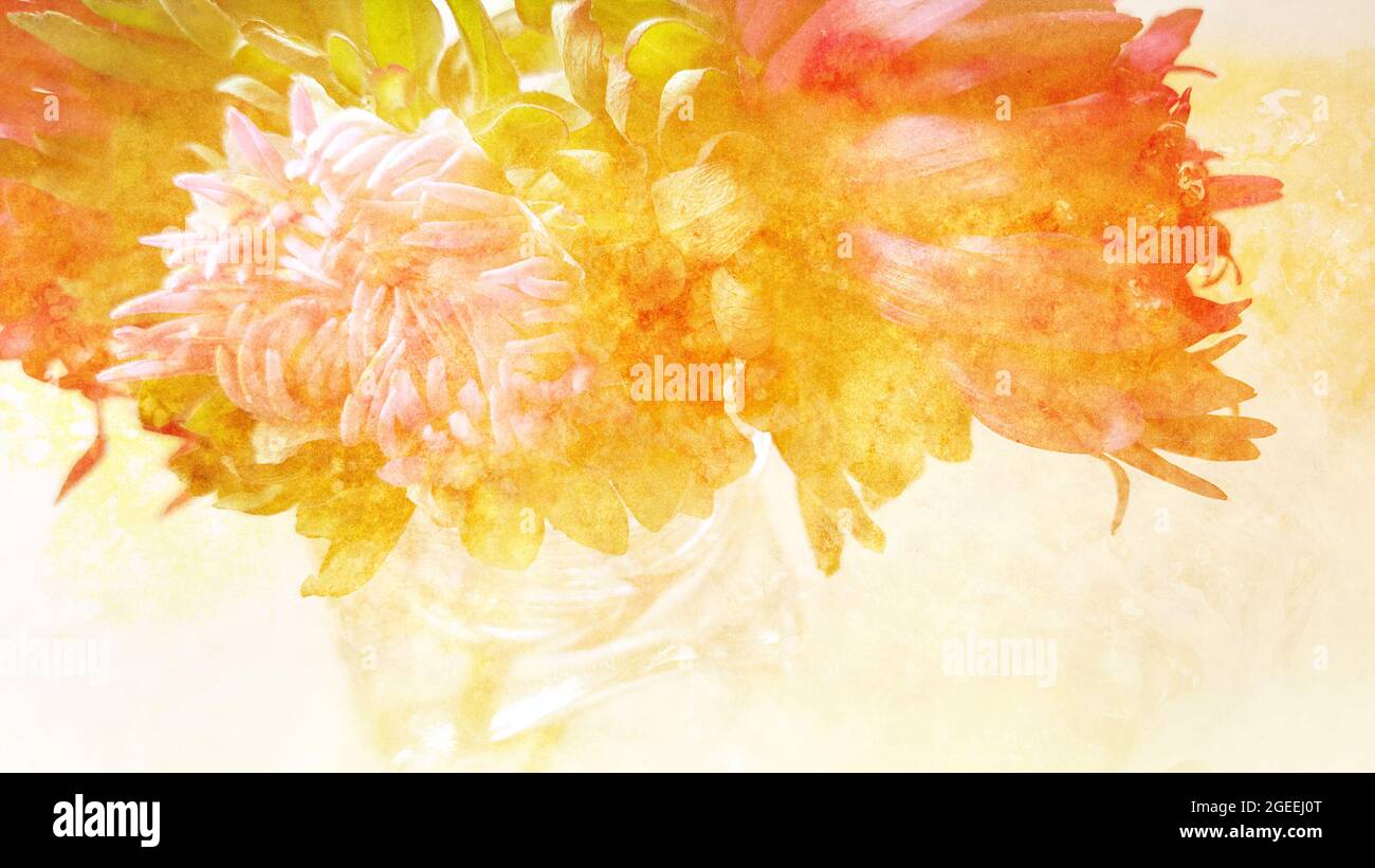 Golden chrysanthemum buds Stock Photo - Alamy