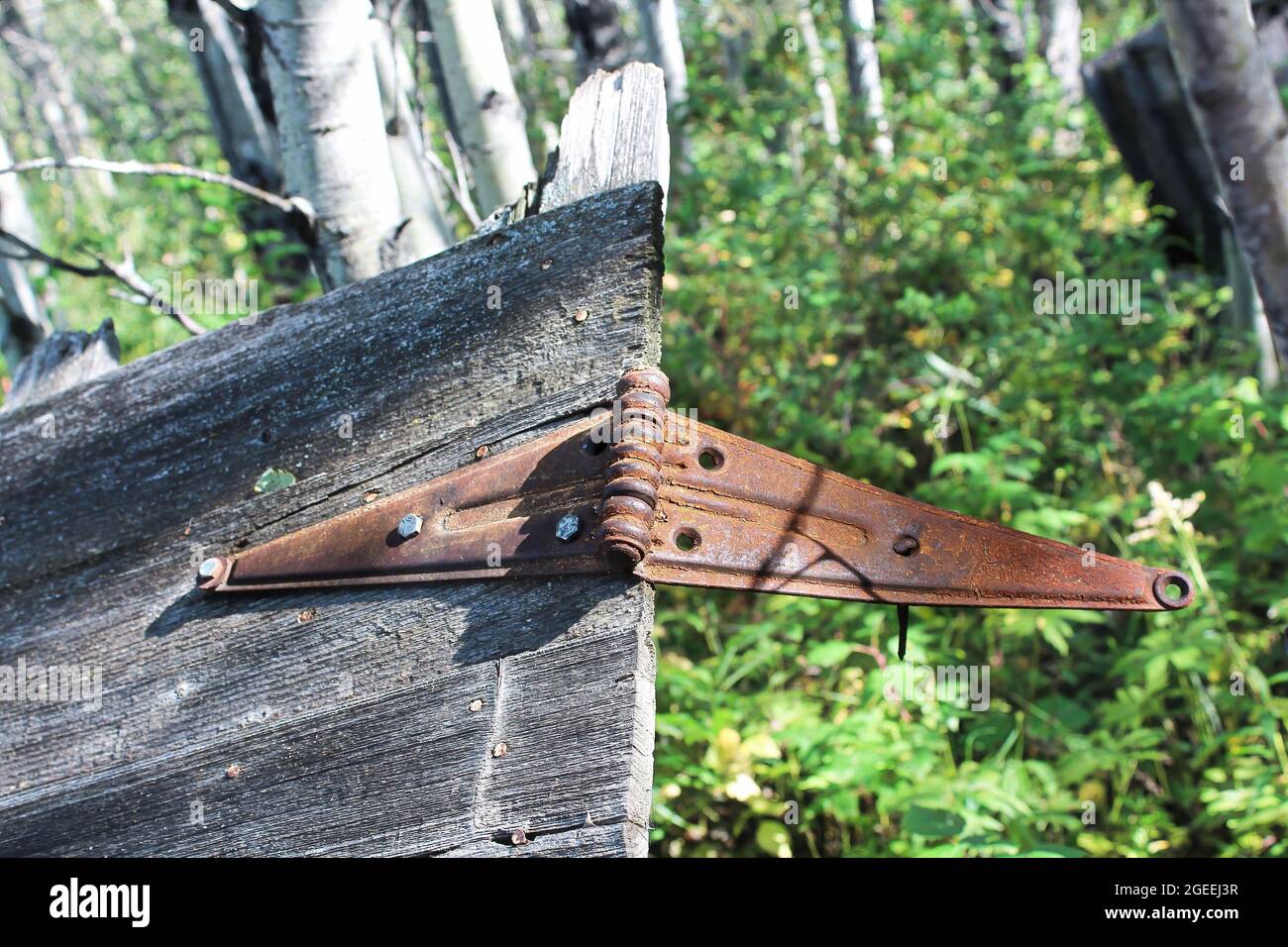 Old Rusty Hinge High Resolution Stock Photography and Images - Alamy