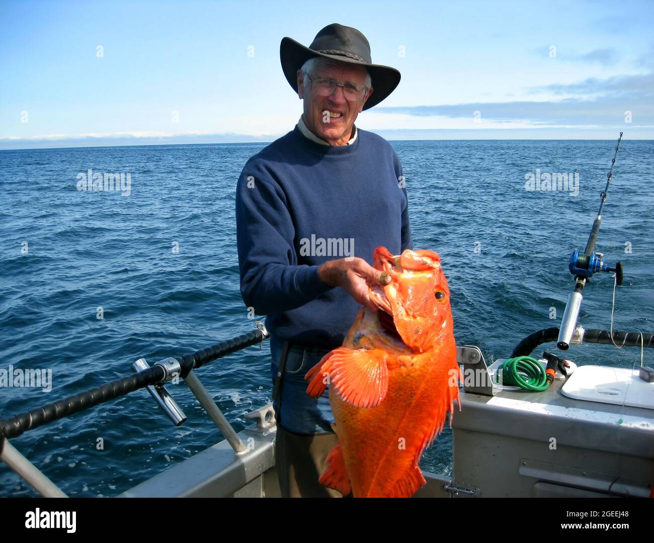 Man proudly holds his orange halibut on a boat in Valdez Bay, Alaska ...