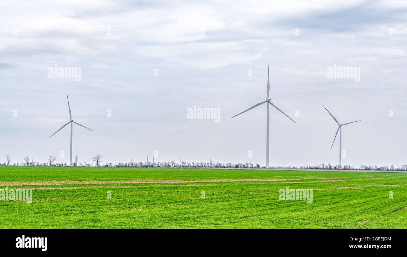 Wind turbines generating electricity in a green field. Green power ...