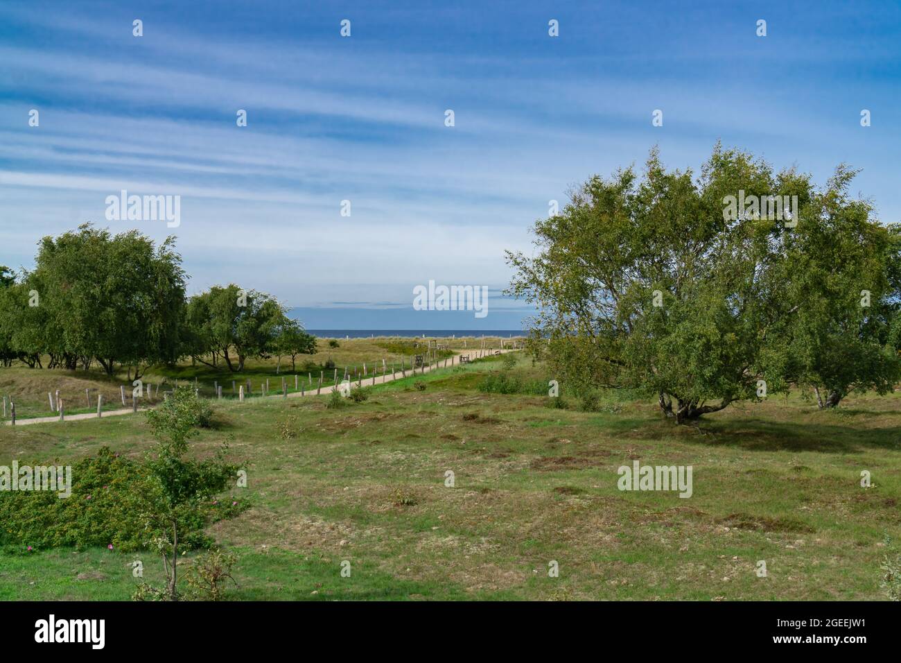 Path leading to the beach on the German Baltic coast near Wangels Stock ...