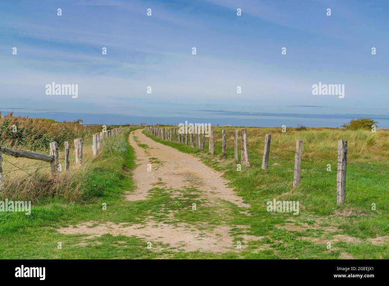 Path leading to the beach on the German Baltic coast near Wangels Stock ...