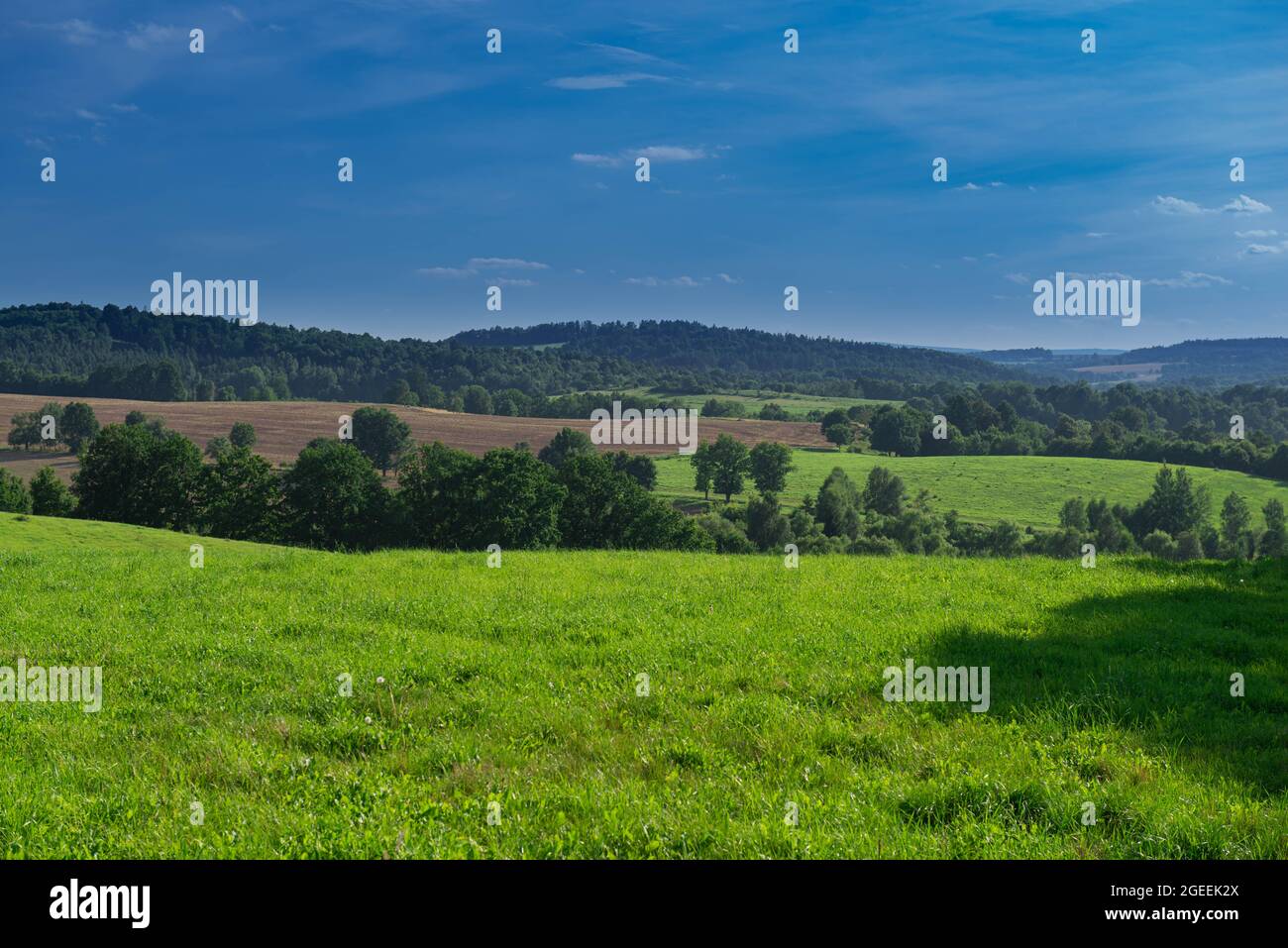 Sudeten foothills. Undulating terrain covered with arable fields ...
