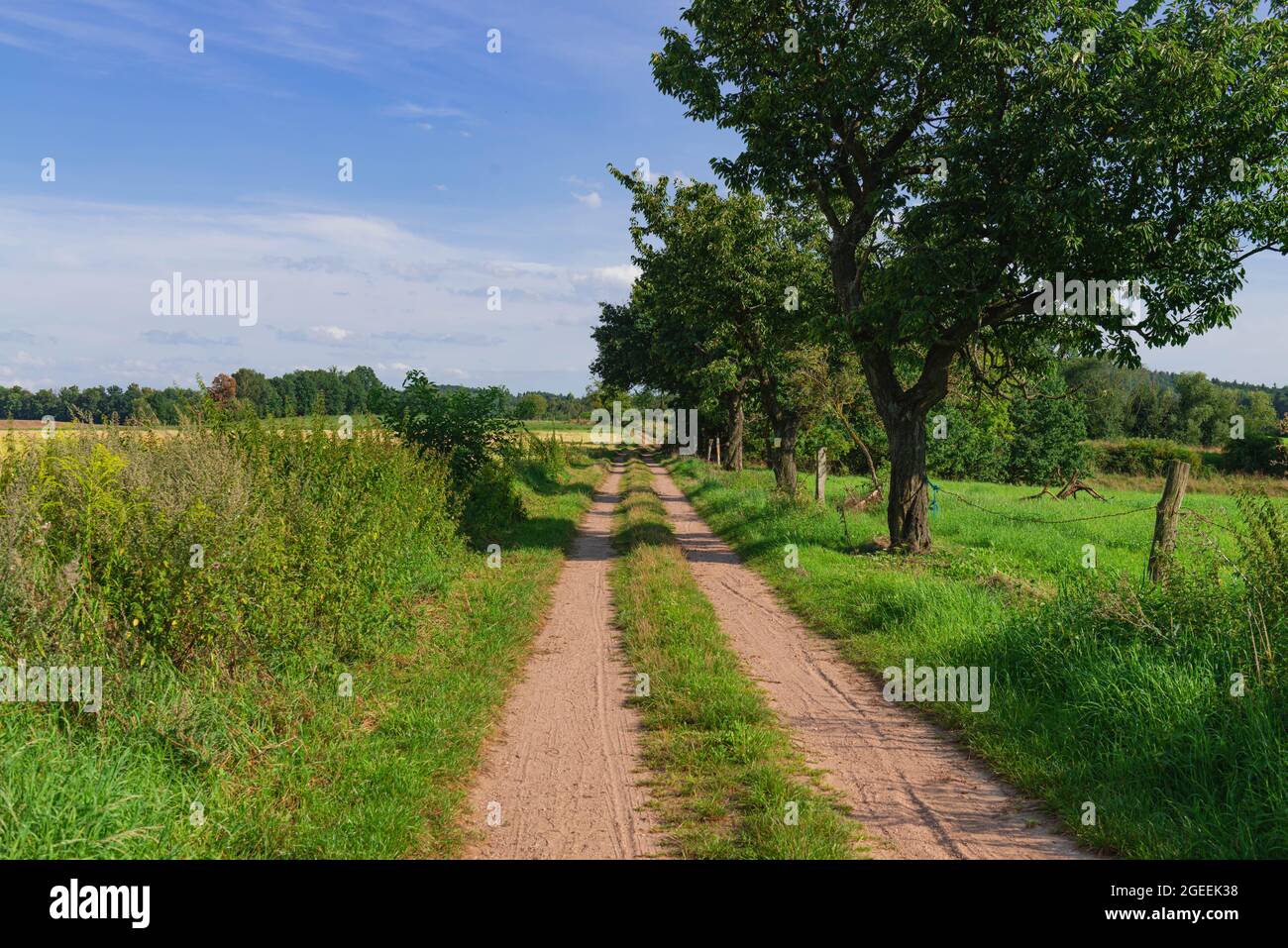 Undulating, uneven terrain covered with meadows and arable fields with ...