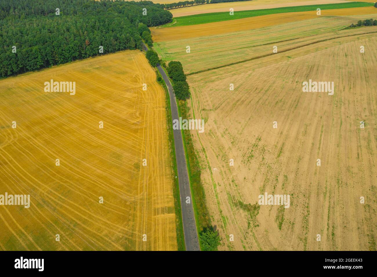 Sudeten foothills. Undulating terrain covered with arable fields ...